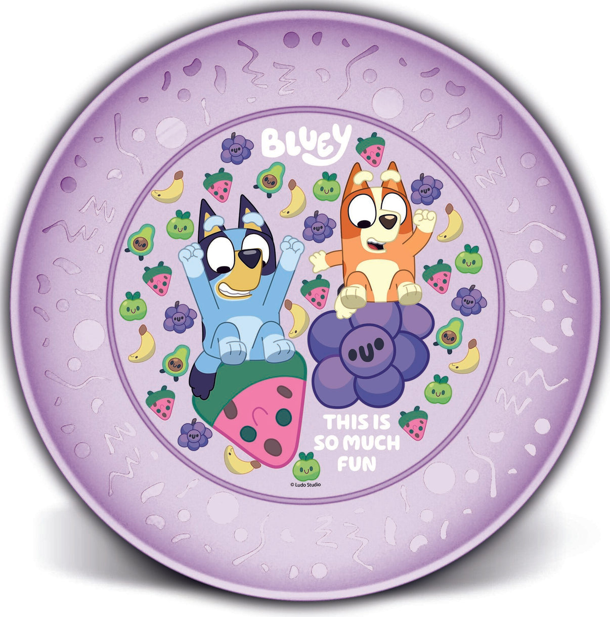 Bluey Party Plate – I Love Stuff
